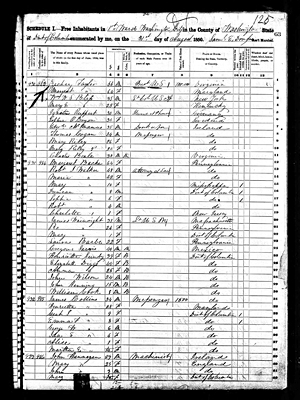Zachary Taylor in the U.S. Census Records